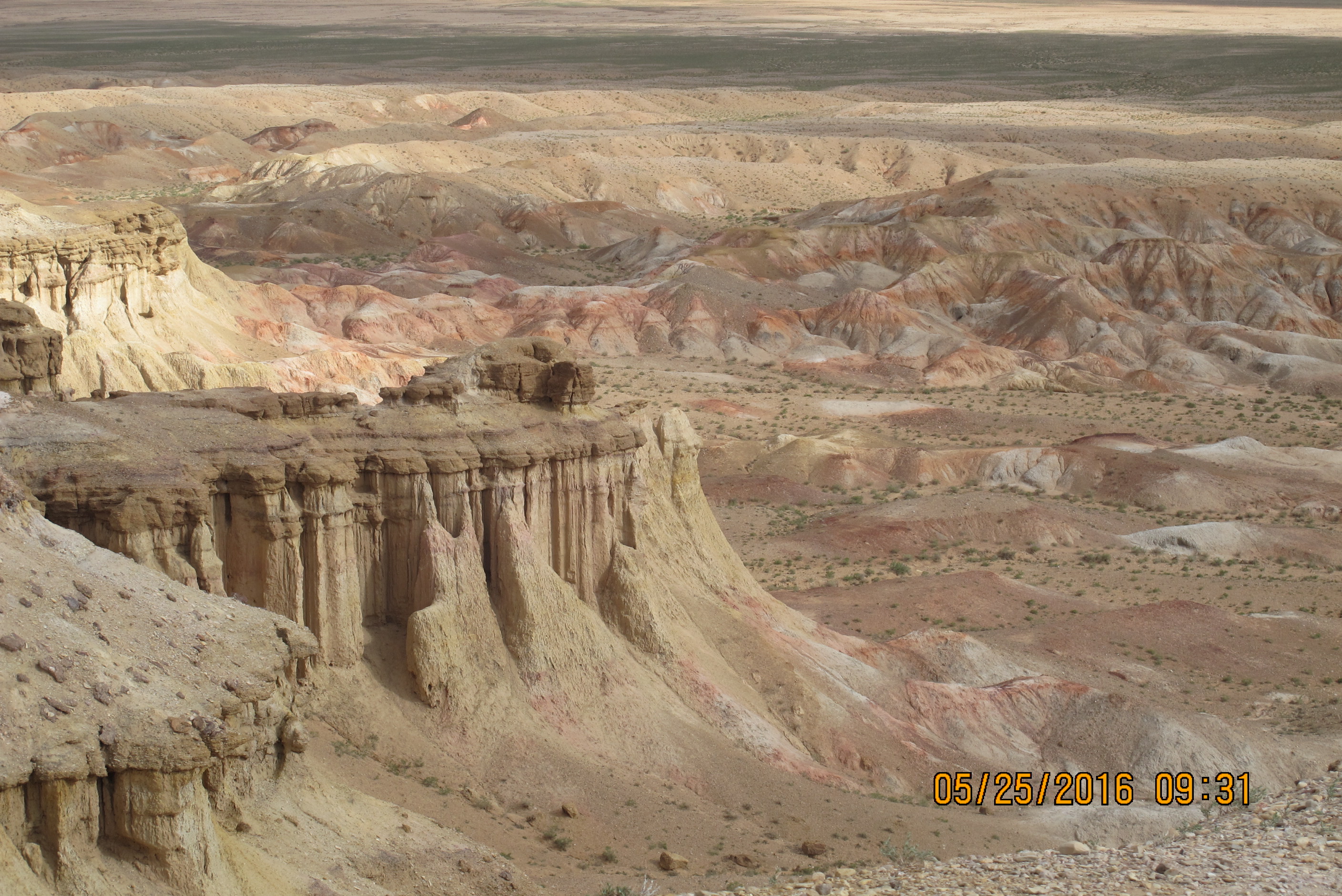 img_1792_27559571246_o | Mongolian Bankhar Dog Project